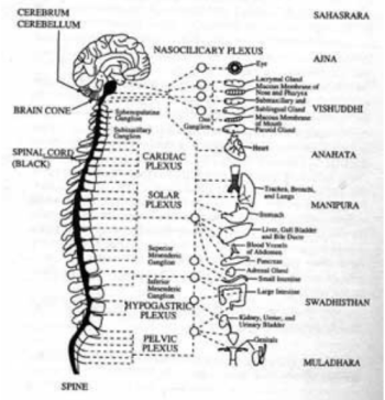 Shashumna Research Condensed | EarCandling.info